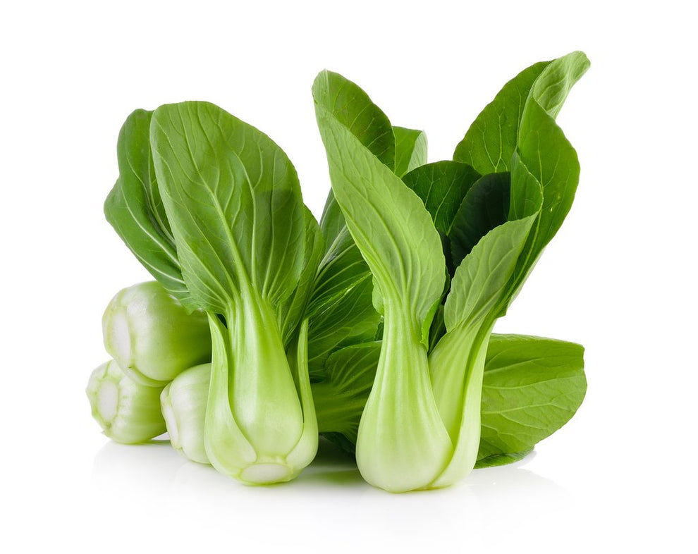 Bok Choy Seeds – 500 Repacked Seeds | Fast-Growing, Nutritious Leafy V ...